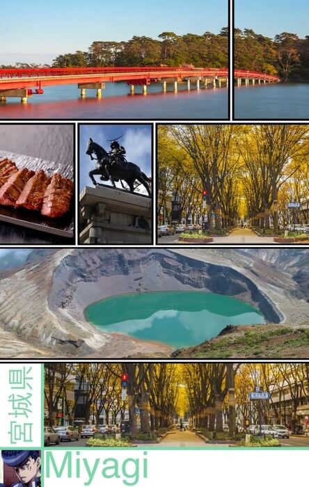 C107 2025 Comic Market all info here, map, place, tickets, participants ...