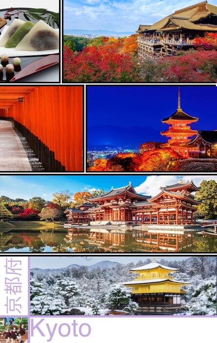 C107 2025 Comic Market all info here, map, place, tickets, participants ...