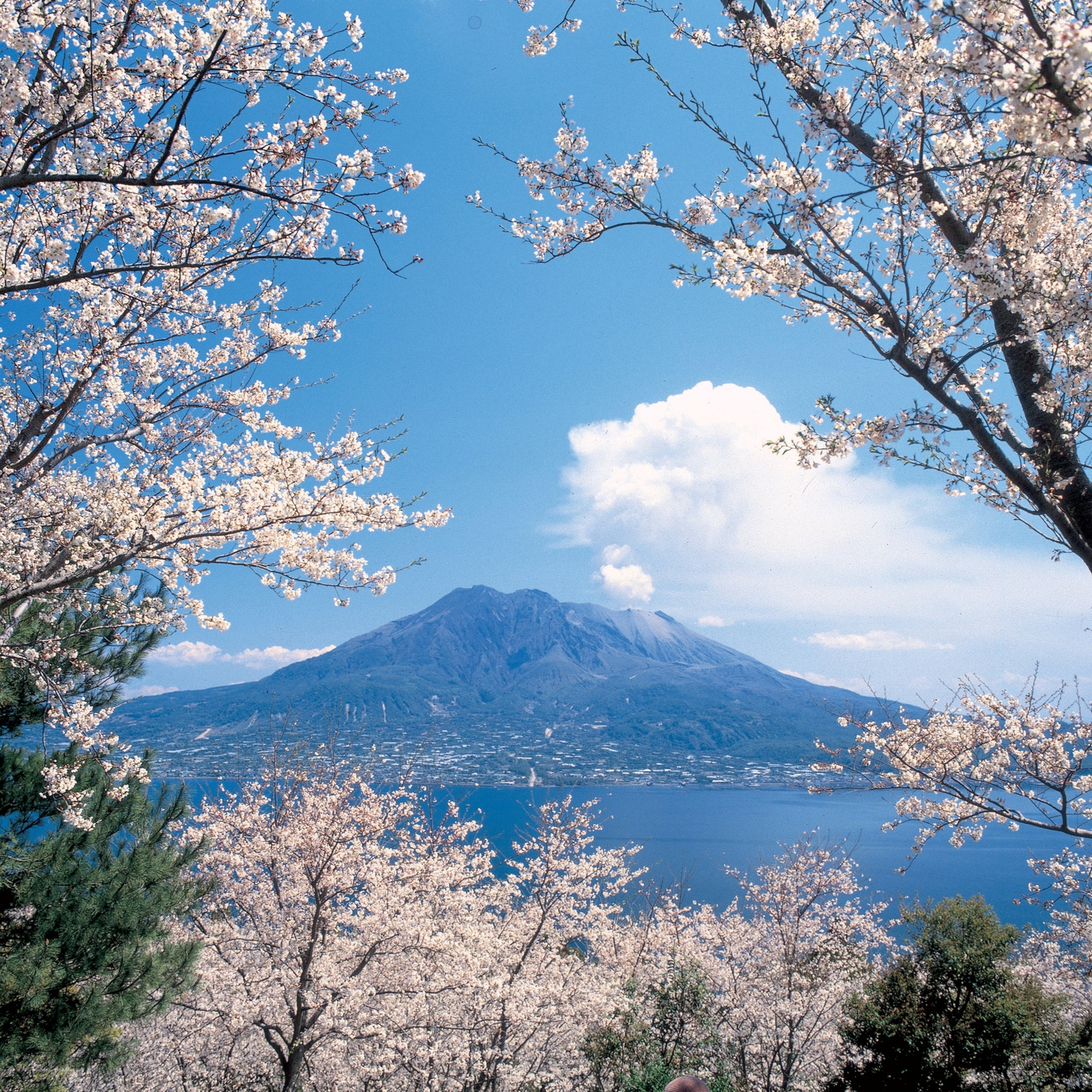 2025 ver Must visit place for Otaku in Kyushu Area TOP 20 all in detail ...