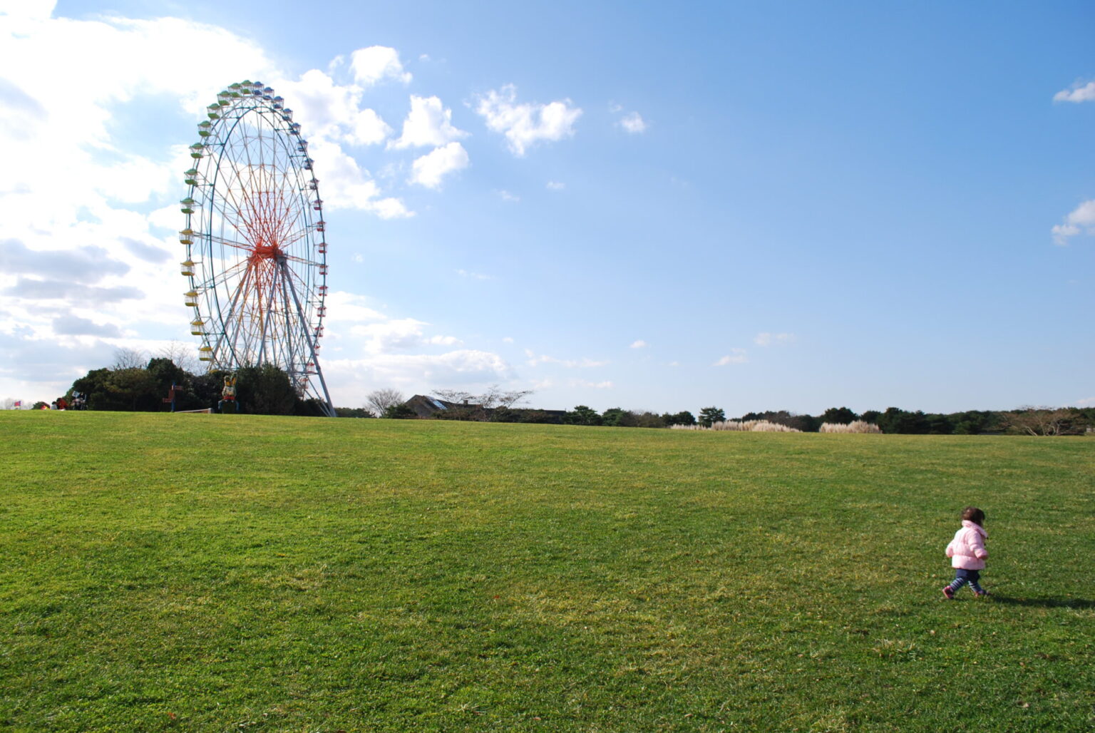 Hitachi Seaside Park 2026 – Anime Maps